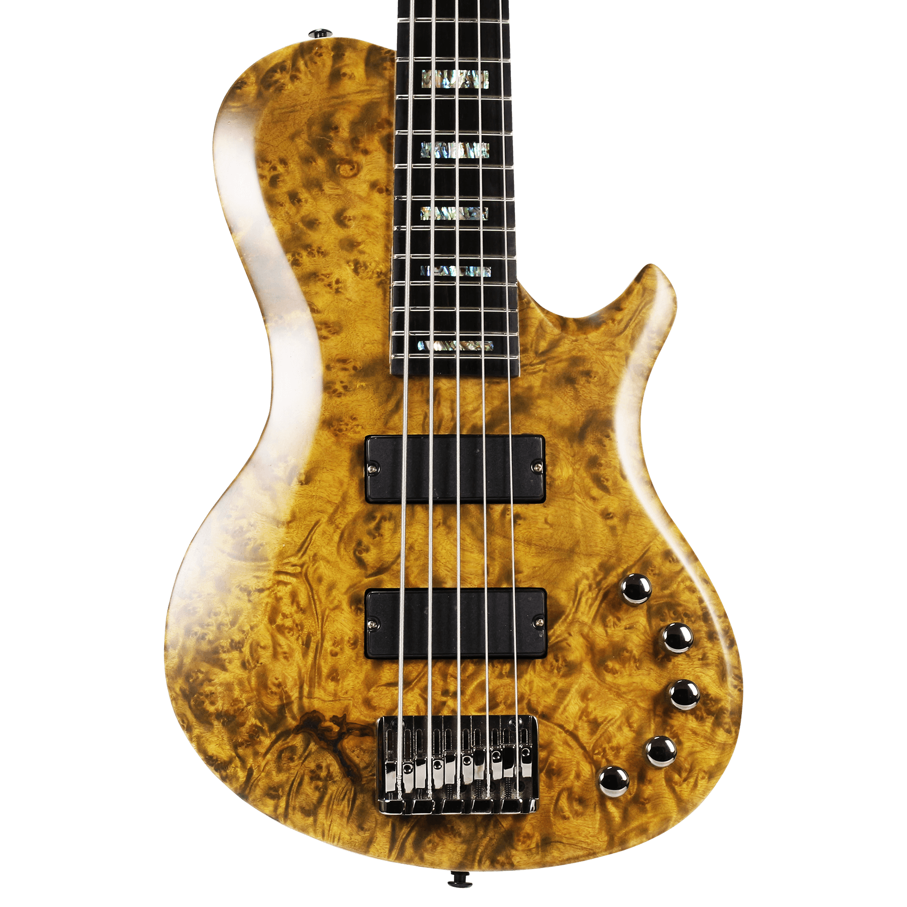 Xi 5 String Single Cut Camphor Burl - 10s