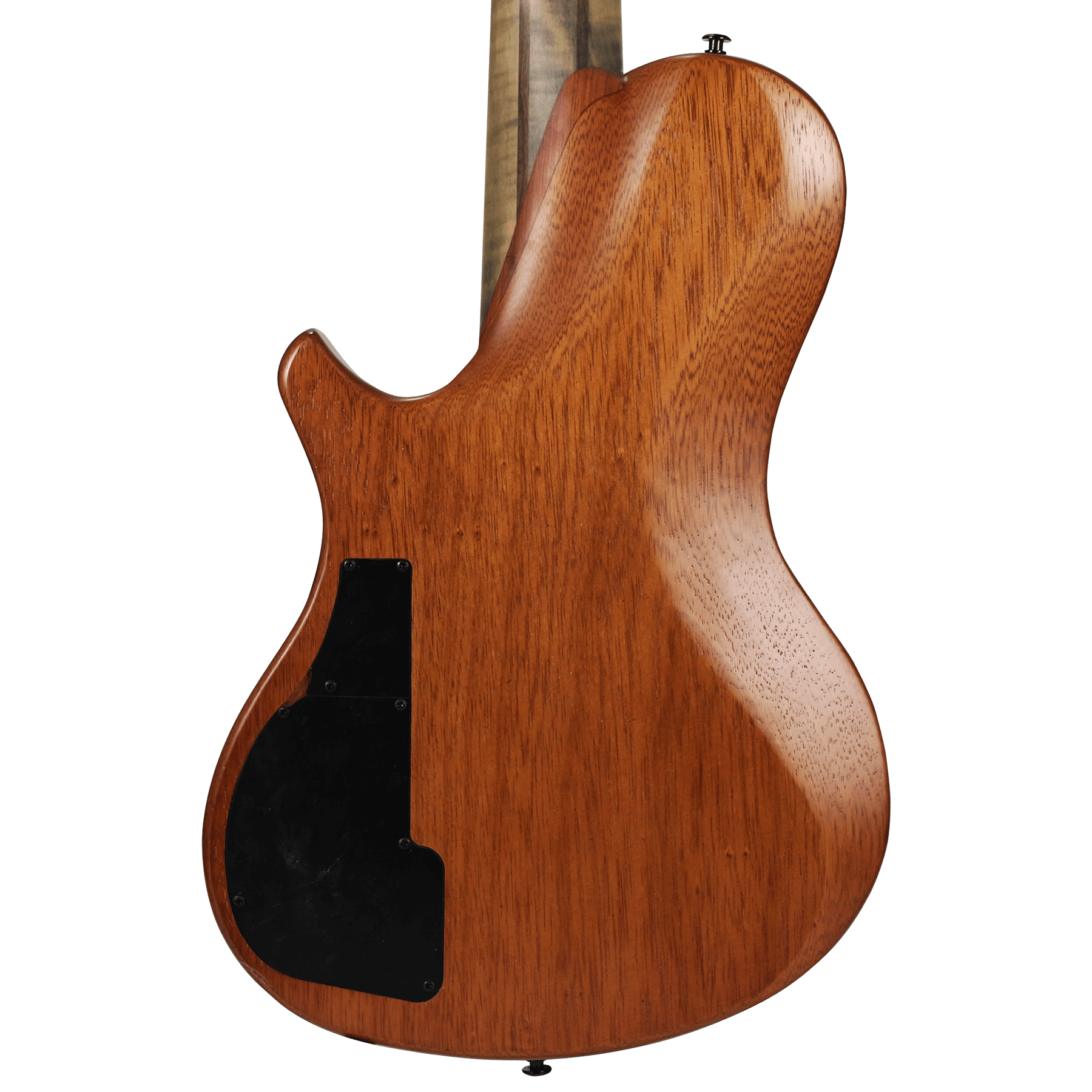Xi 5 String Single Cut Camphor Burl - 10s