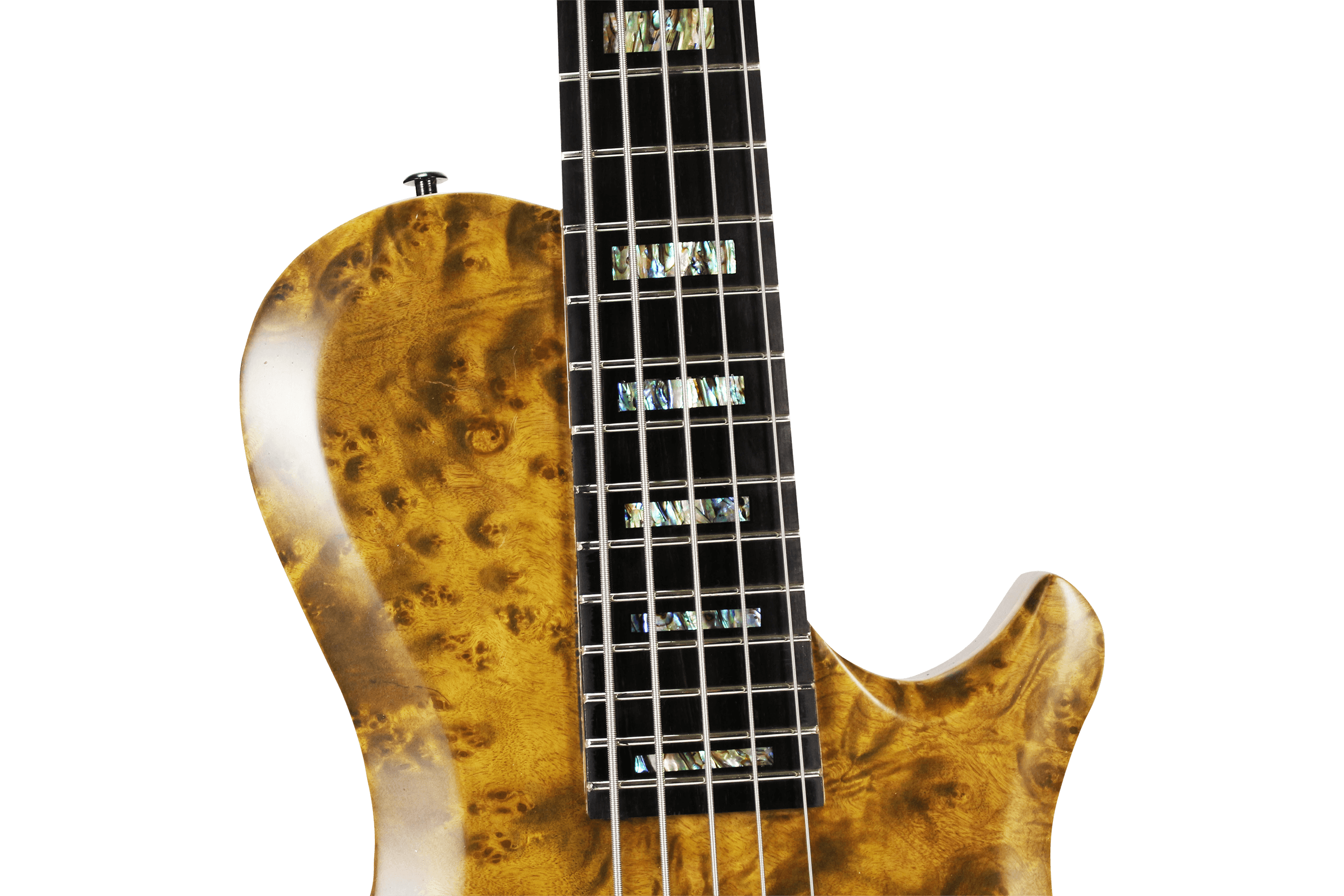 Xi 5 String Single Cut Camphor Burl - 10s