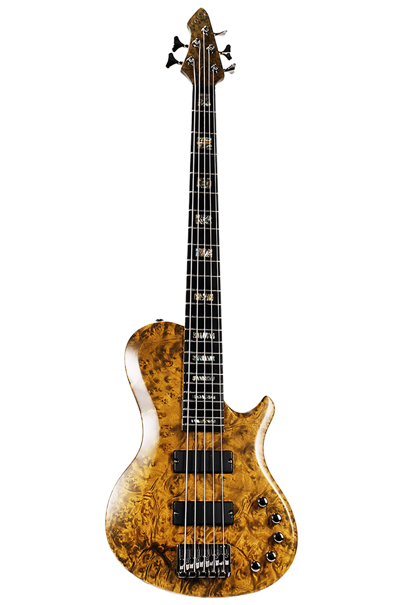 Xi 5 String Single Cut Camphor Burl - 10s